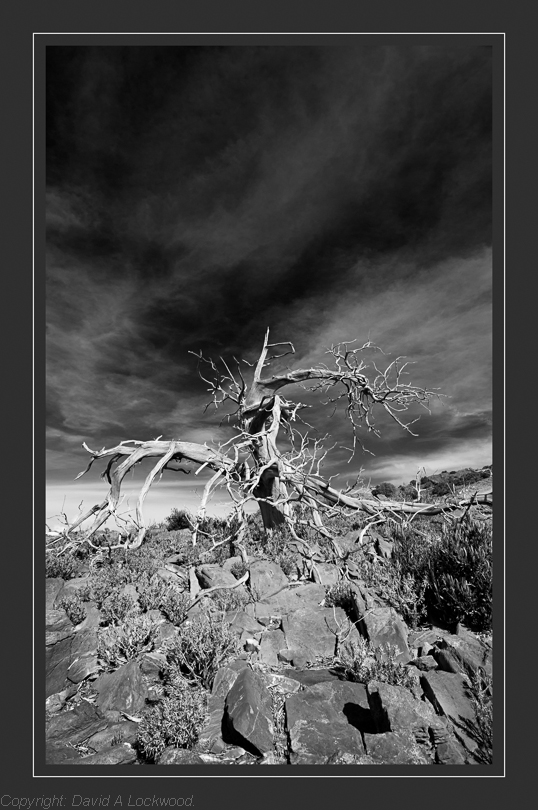 Au Revoir for now. – David A Lockwood