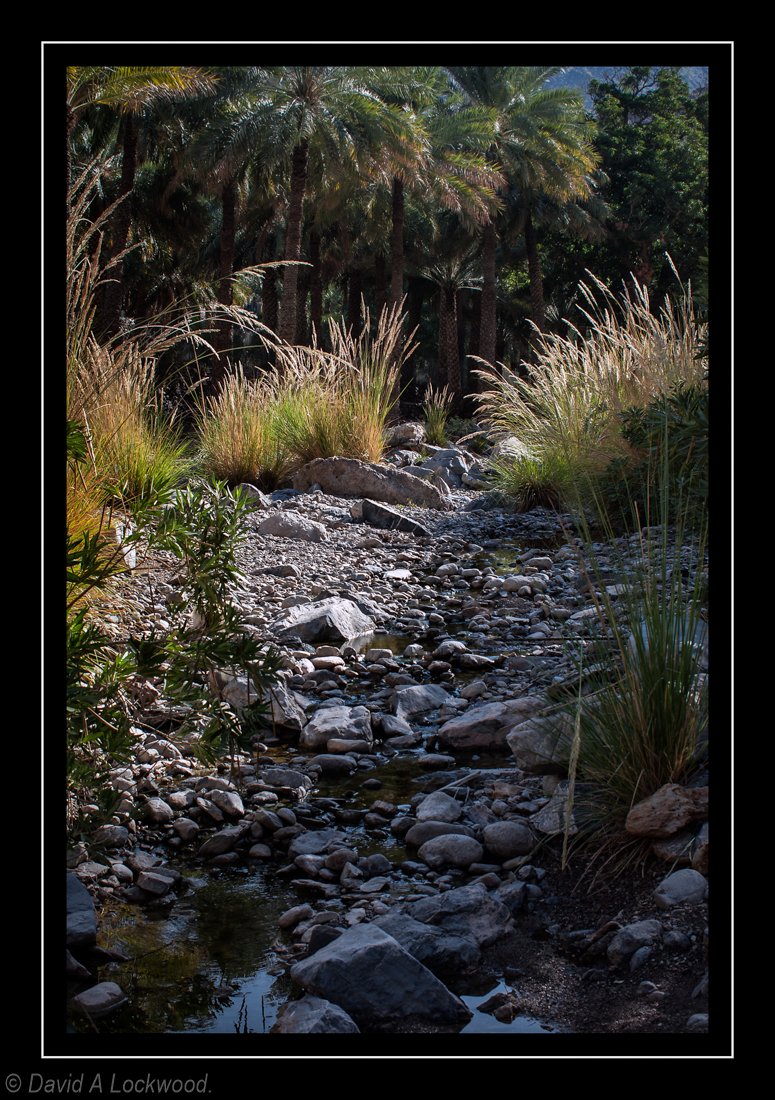 Wadi Stream. – David A Lockwood