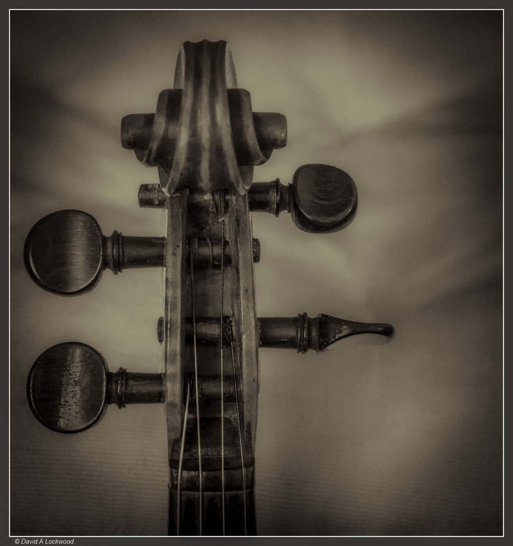 Violin scroll. – David A Lockwood