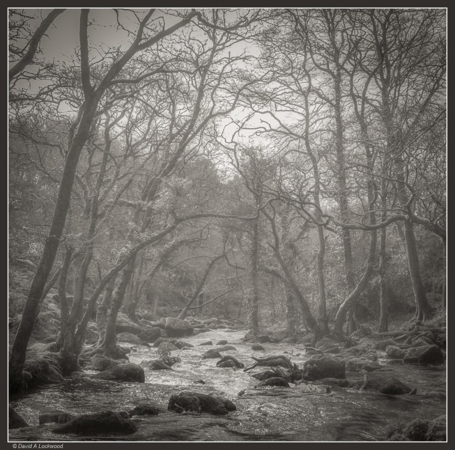 David A Lockwood – Page 2 – Photography – Oman & UK.